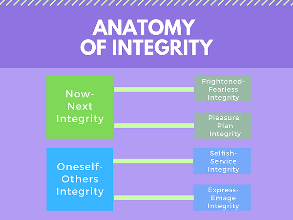 Anatomy of Integrity | goldwinde