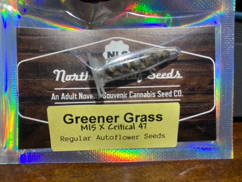 Greener Grass F1 Regular Autoflower Seeds | Northern Leaf Seeds