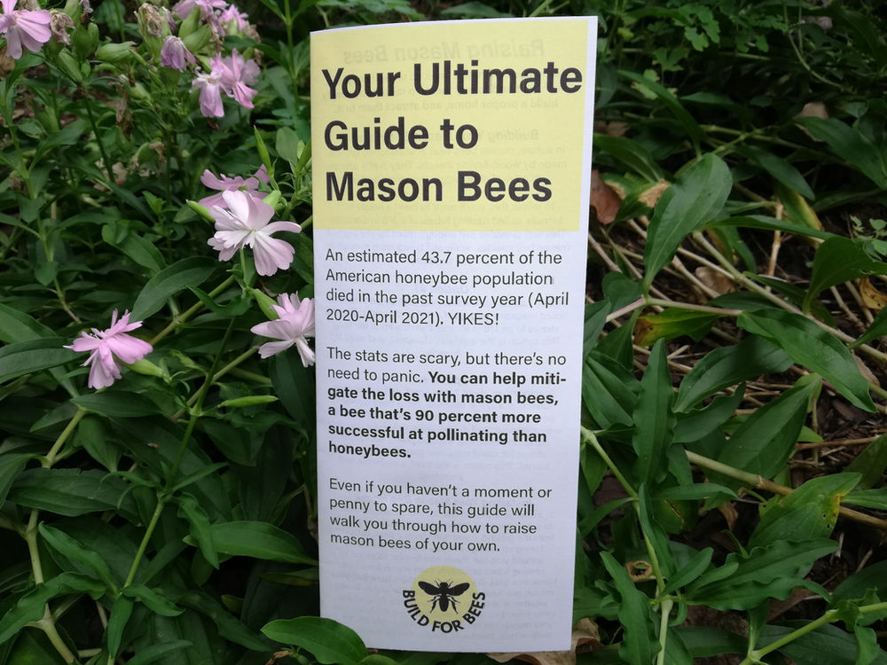 Free Printable Guide to Mason Bees