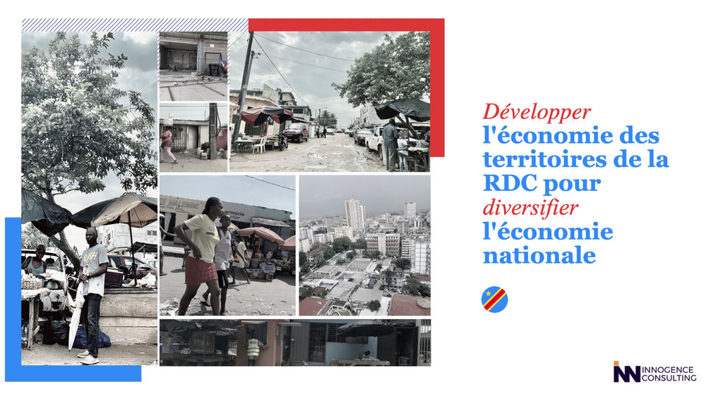 Développer l'économie des territoires de la RDC pour diversifier l ...