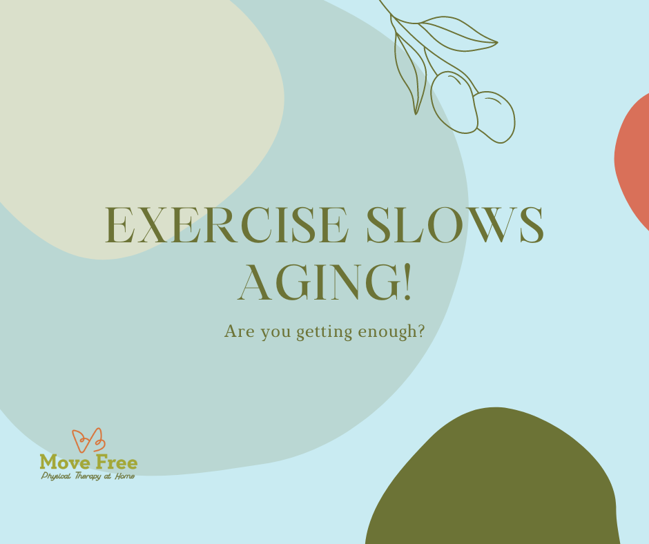 Research Shows: Exercise Slows Aging!
