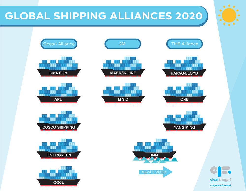 What is an Ocean Alliance (And Why It's Important)?