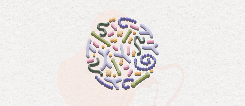 Qual o papel dos fungos na microbiota intestinal?