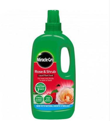 MIRACLE-GRO ROSE & SHRUB CONCENTRATE | fryersroses