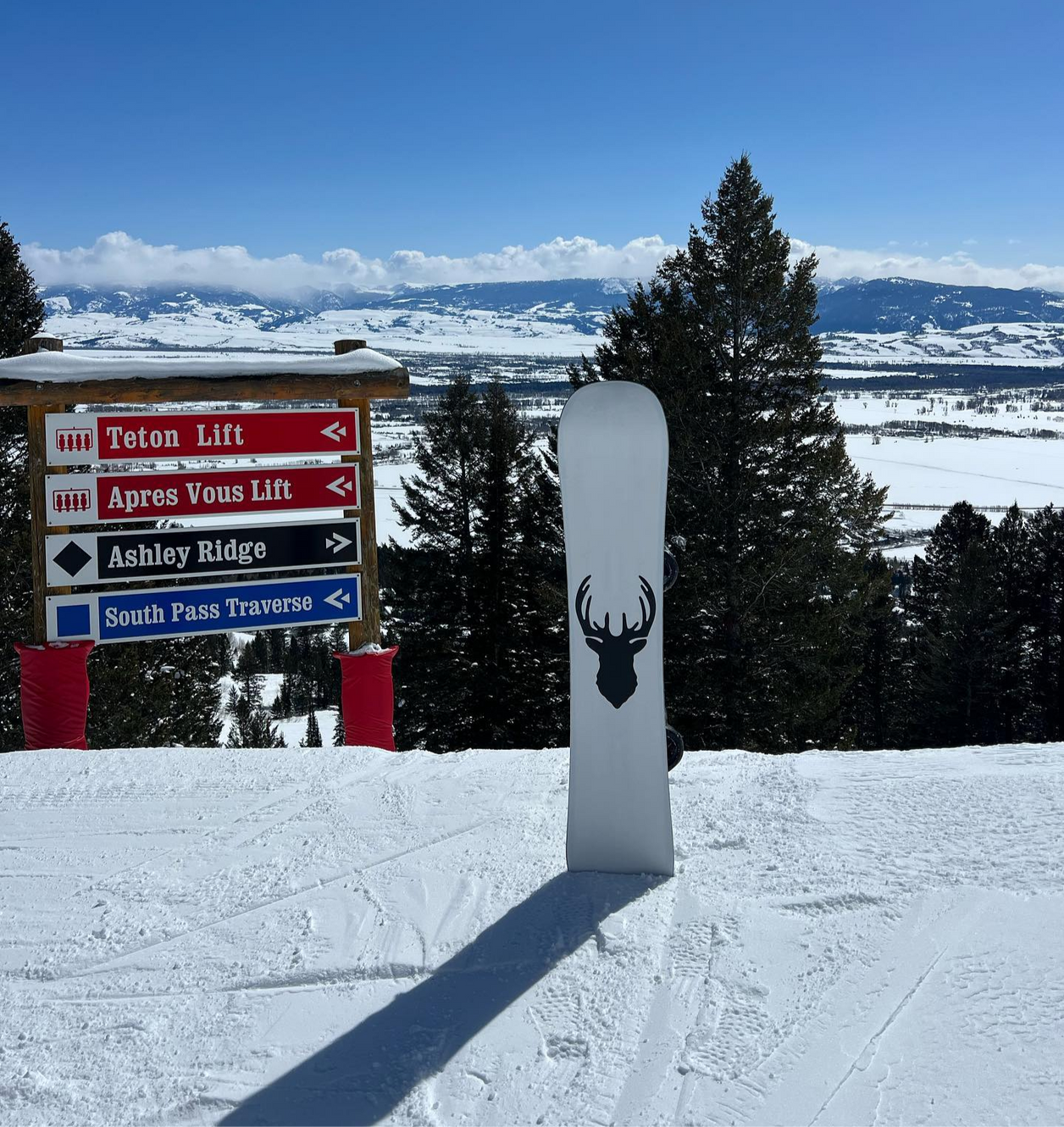 Custom Snowboards | Stag Boards | St. Clair, MI