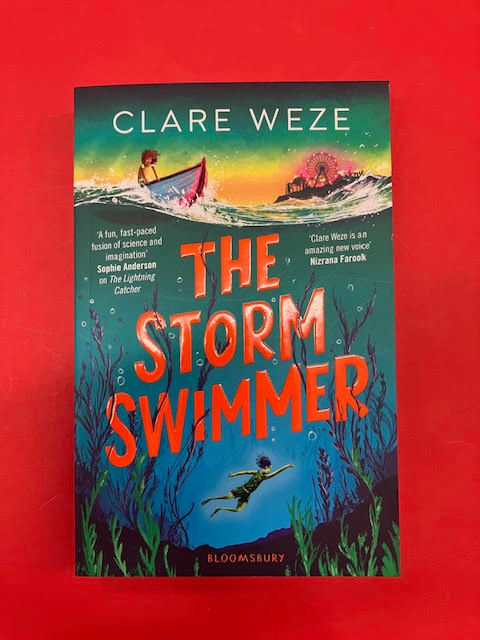 The Storm Swimmer | Clare Weze | Children's Bookshop