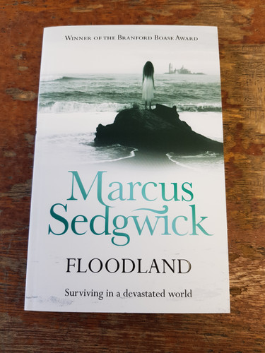 Floodland | Marcus Sedgwick | Children's Bookshop