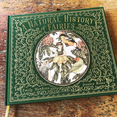 A Natural History of Fairies | Emily Hawkins and Jessiaca Roux ...