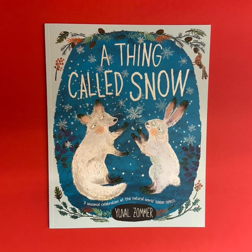 A Thing Called Snow | Yuval Zommer | Children's Bookshop