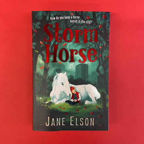 Storm Horse | Jane Elson | Children's Bookshop