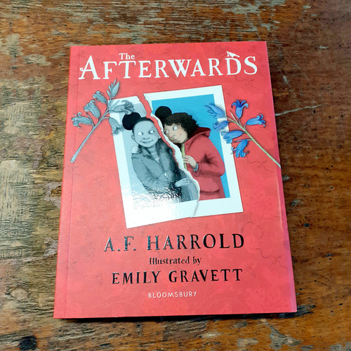 The Afterwards | A.F. Harrold | Children's Bookshop