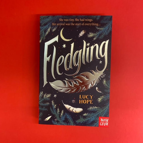 Fledgling | Lucy Hope | Children's Bookshop