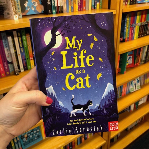 My Life as a Cat | Carlie Sorosiak | Children's Bookshop