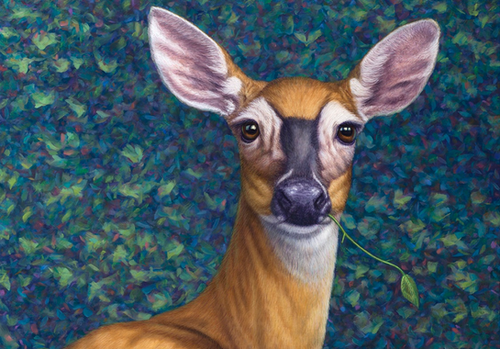 Portrait of a Doe | BroadwayContemporary