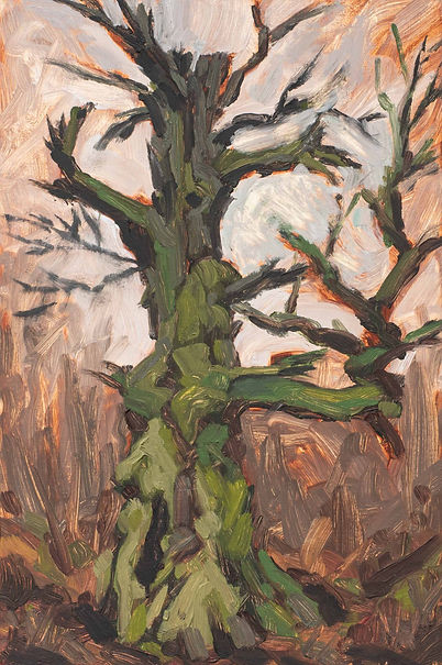 Martin Clarkson - En Plein Air Painter