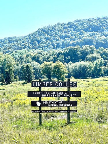 Timber Coulee Fly Series | Radcliffe Rods