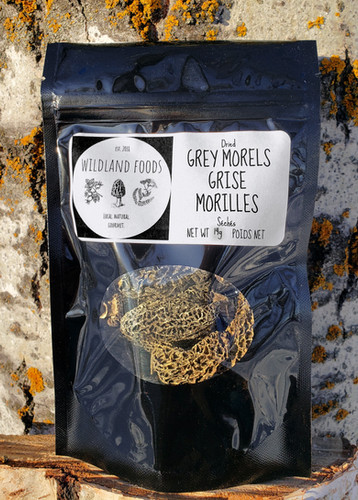 Grey Morels | Wildland Foods