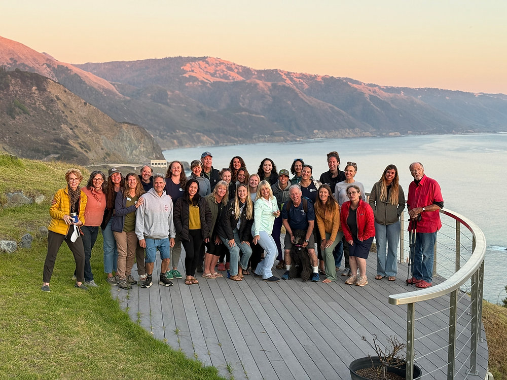 Conservation Through Collaboration: The CMSF Story