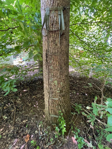 Sladder Climbing System | Grayskwerel Outdoors