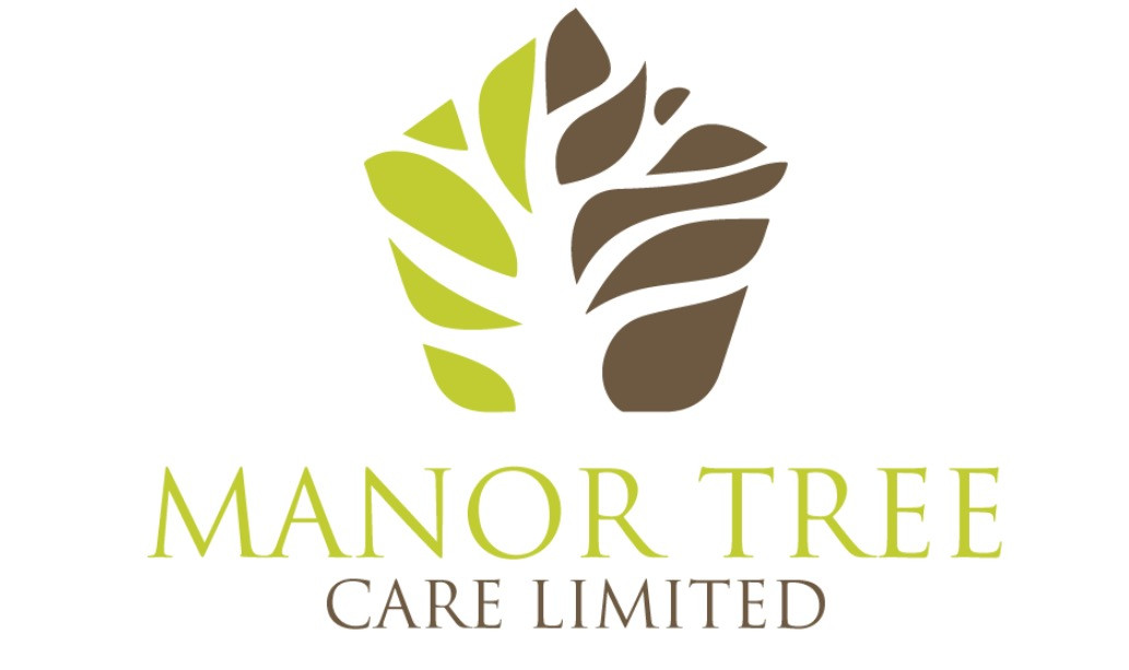 Arboriculture | Manor Tree Care | England