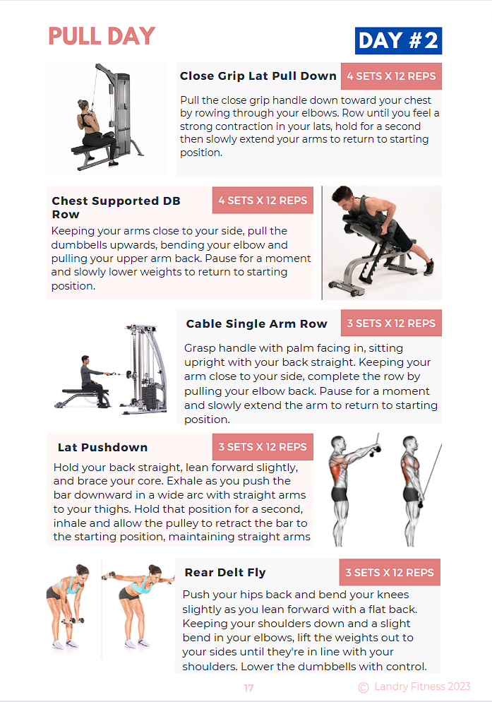 reverse grip pulldown with dumbbells