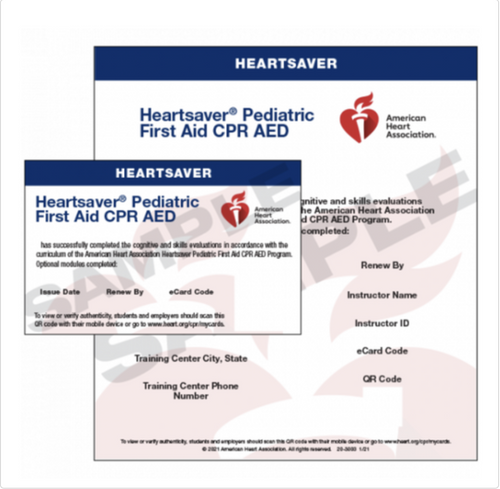 AHA Pediatric First Aid CPR AED Student eCard | AIM