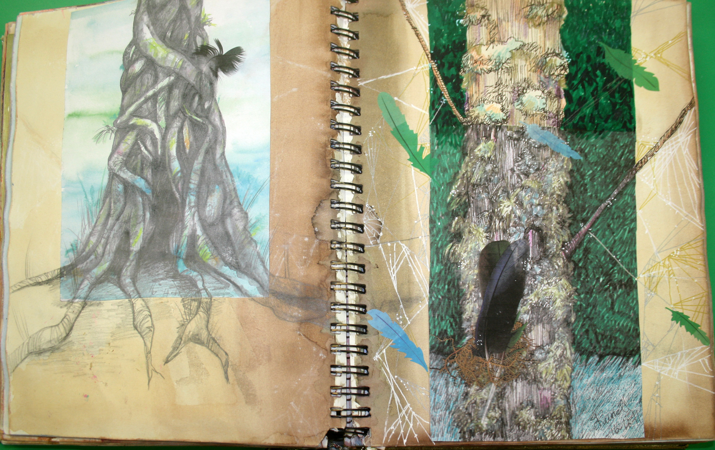 Online Classes (Zoom) | annrussellart