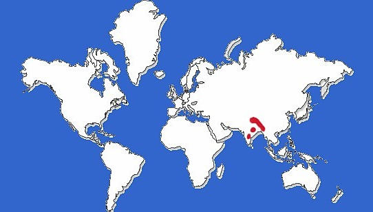 Mapa Del Hábitat Del Tigre