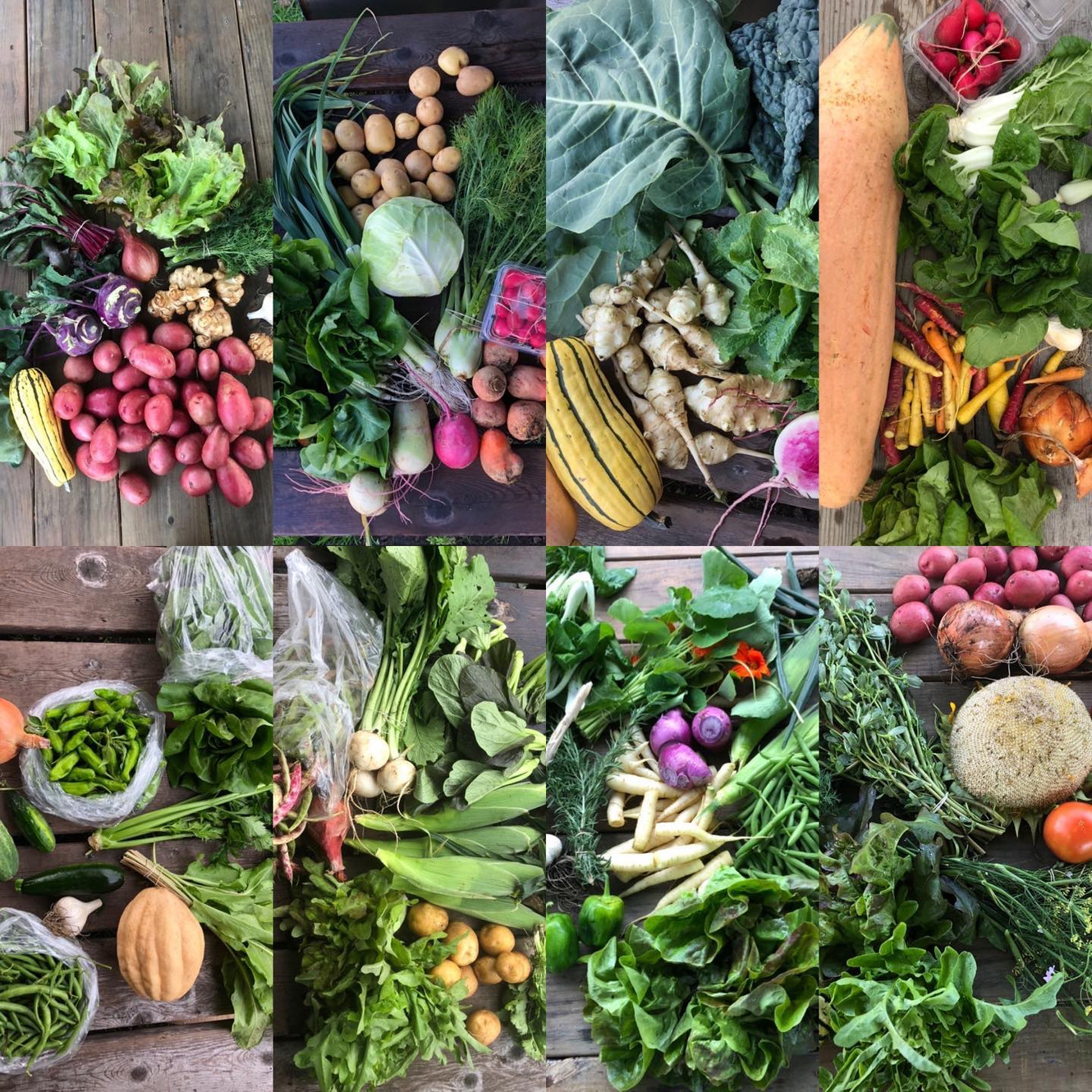 Fresh Meadow Farm | Hudson Valley CSA Coalition