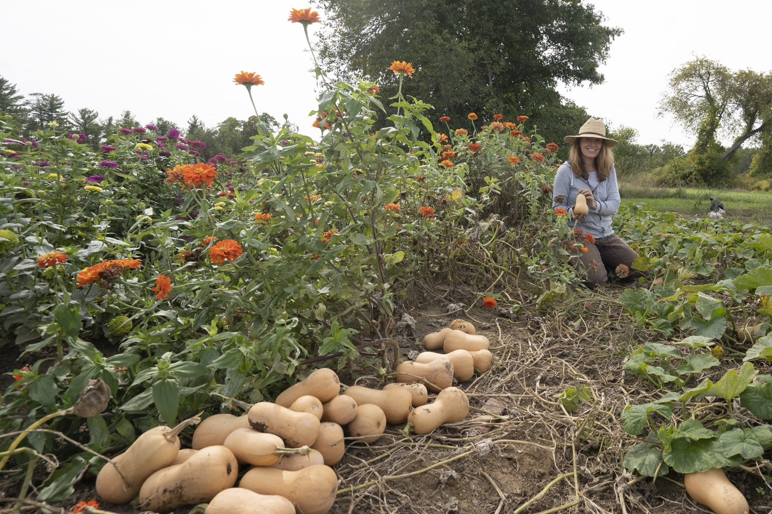 Green Owl Farm | Hudson Valley CSA Coalition