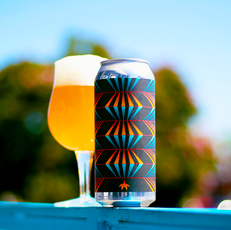 home | aslin beer co