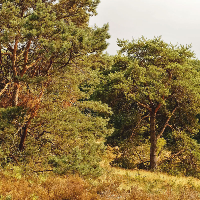 Dmitri Kabalevsky Symphony No 4 in C op 54