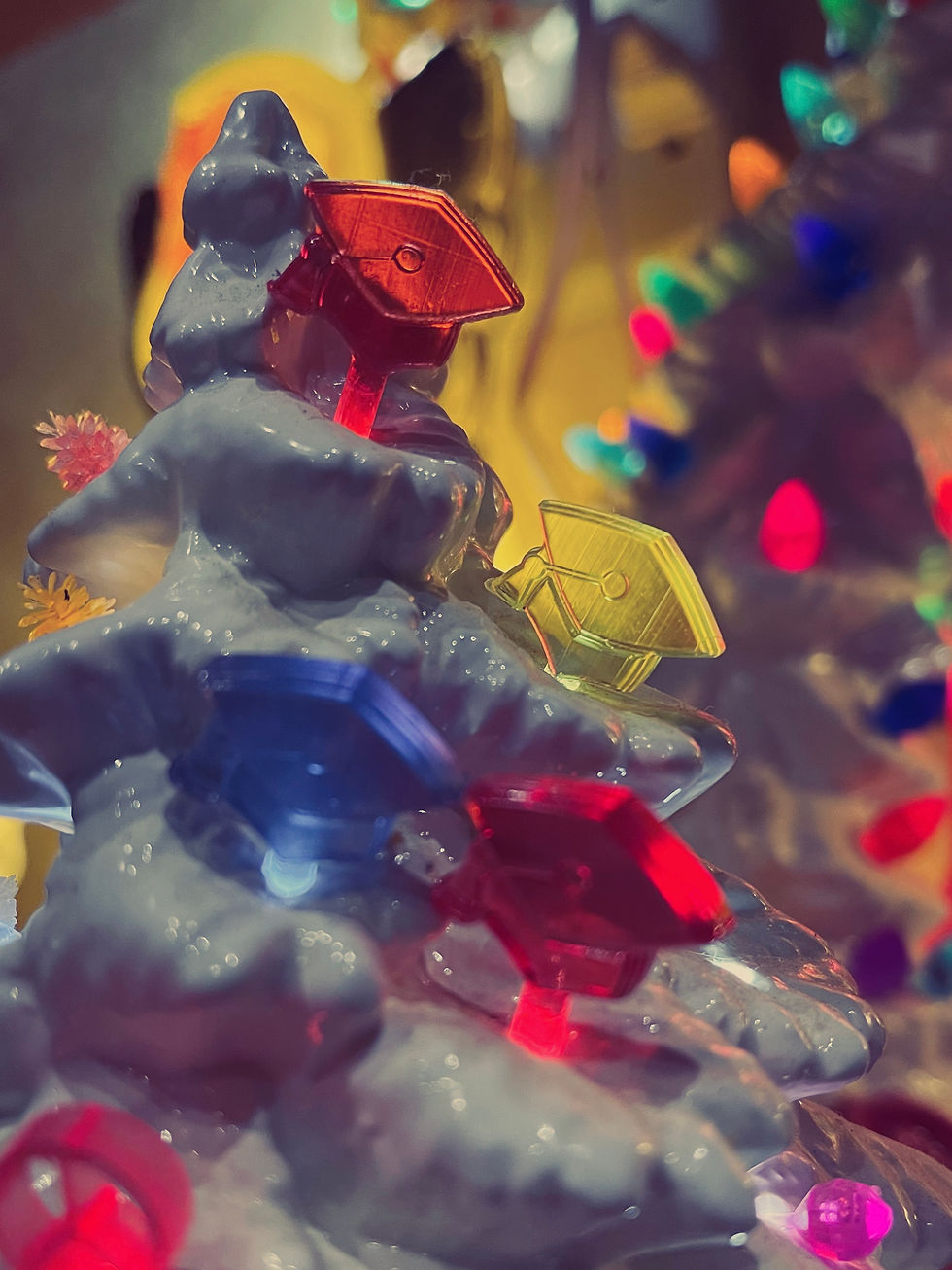 Graduation Caps | Wes Lights Trees