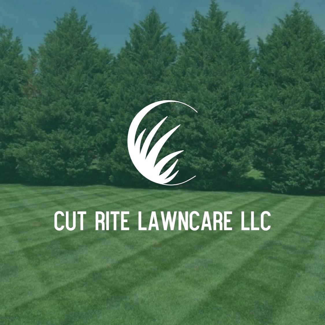 Cut Rite Lawn Care