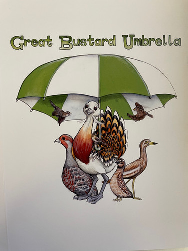 Great Bustard Umbrella Card | The Great Bustard Gr