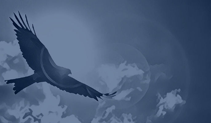 Somos Flow | Flowinvest