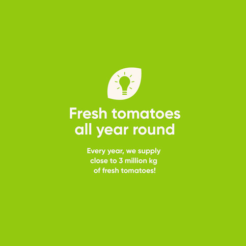 Tomatoes | Flavorite