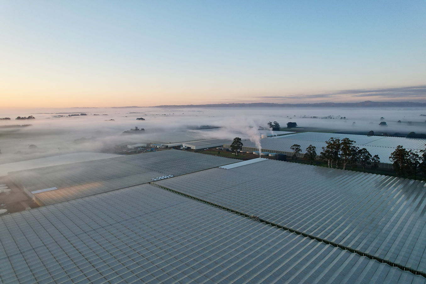 Home | Flavorite | Fresh Produce | Australia