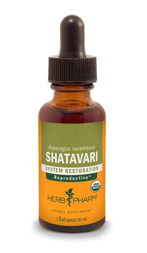 Shatavari Extract | HoeyRx