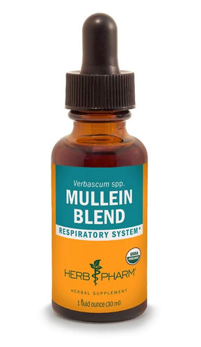 Mullein Blend Extract | HoeyRx
