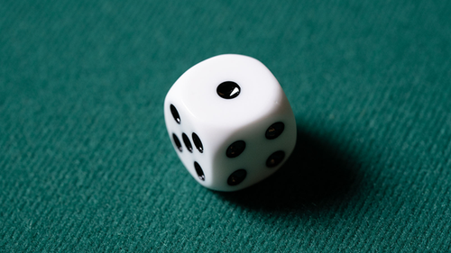 REPLACEMENT DIE WHITE (GIMMICKED) FOR MENTAL DICE by Tony Anverdi ...