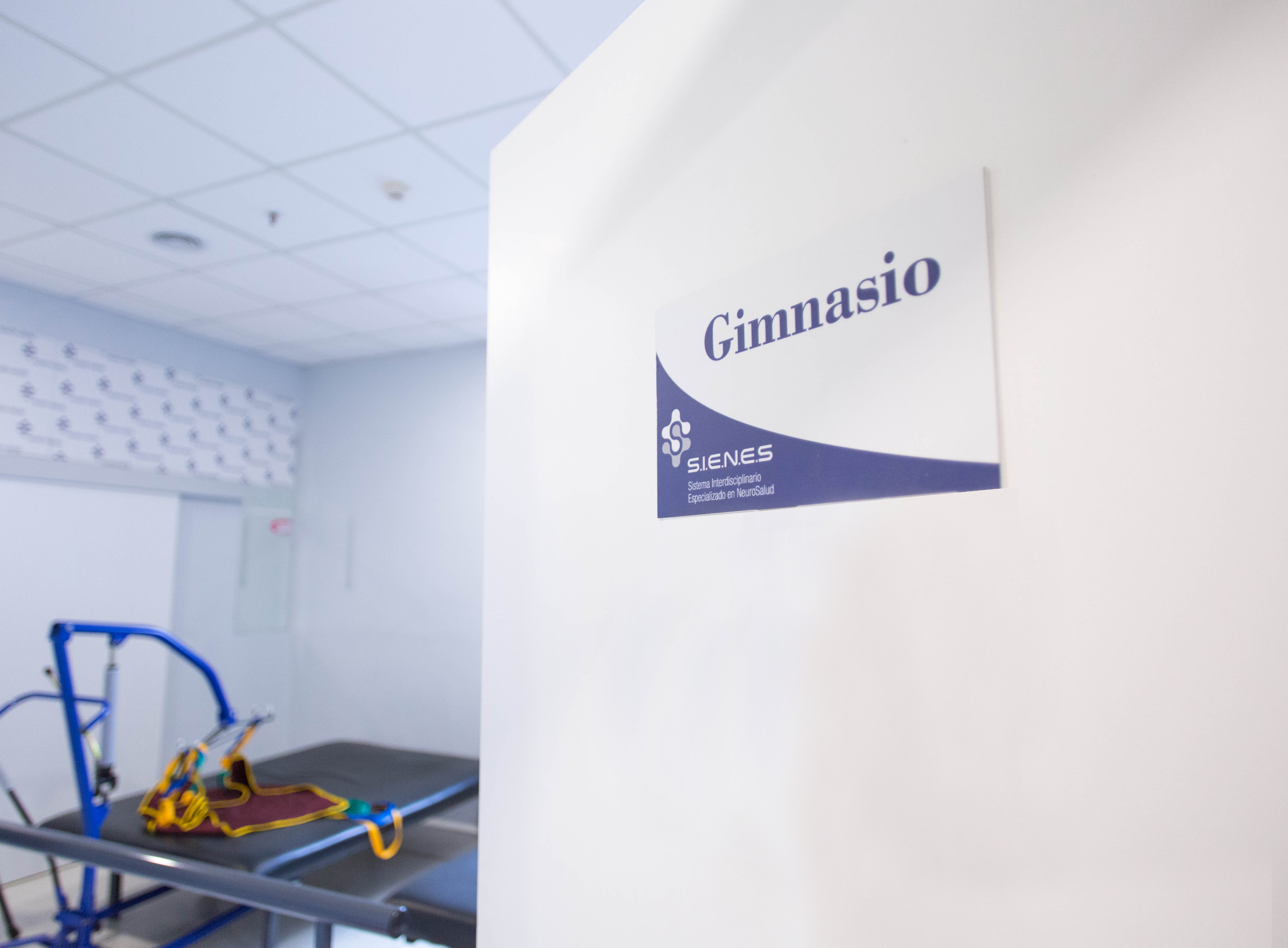 SIENES Neurorehabilitación www.sienes.com.ar