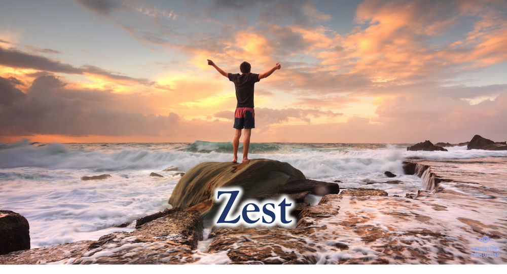 24 Character Strengths: Zest