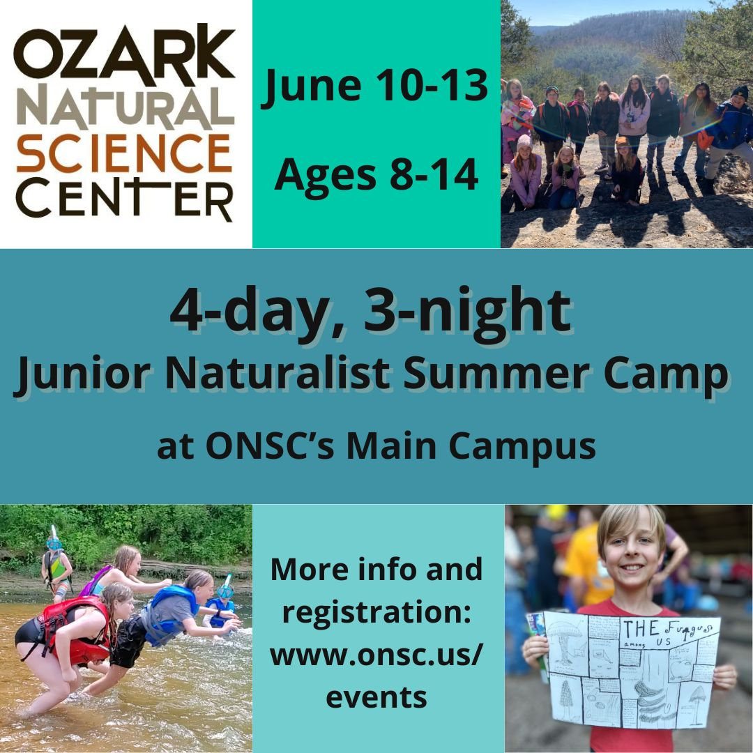 4-day, 3-night Junior Naturalist Outdoor Skills Camp at ONSC | onsc