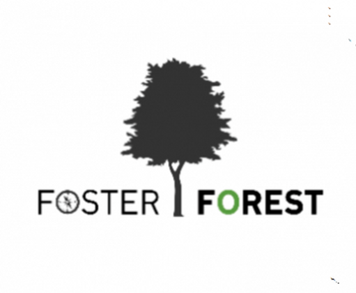Foster Forest, un jeu sérieux pour s(t)imuler l'adaptation aux ...