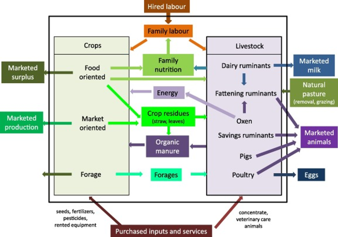 Modelling mixed crop-livestock farms for supporting farmers’ strategic ...