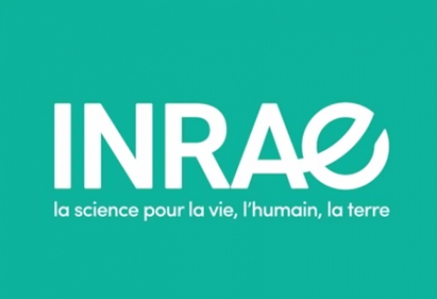 Un logo pour une nouvelle ambition, portée par l'INRAE