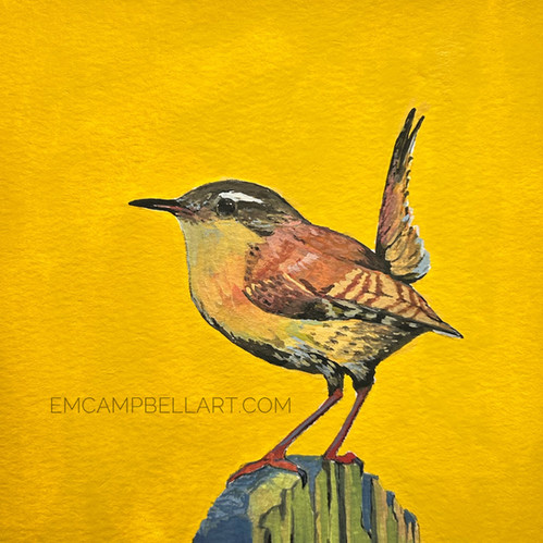 Carolina Wren Watercolor Bird Painting by Em Campbell | Em Campbell Art