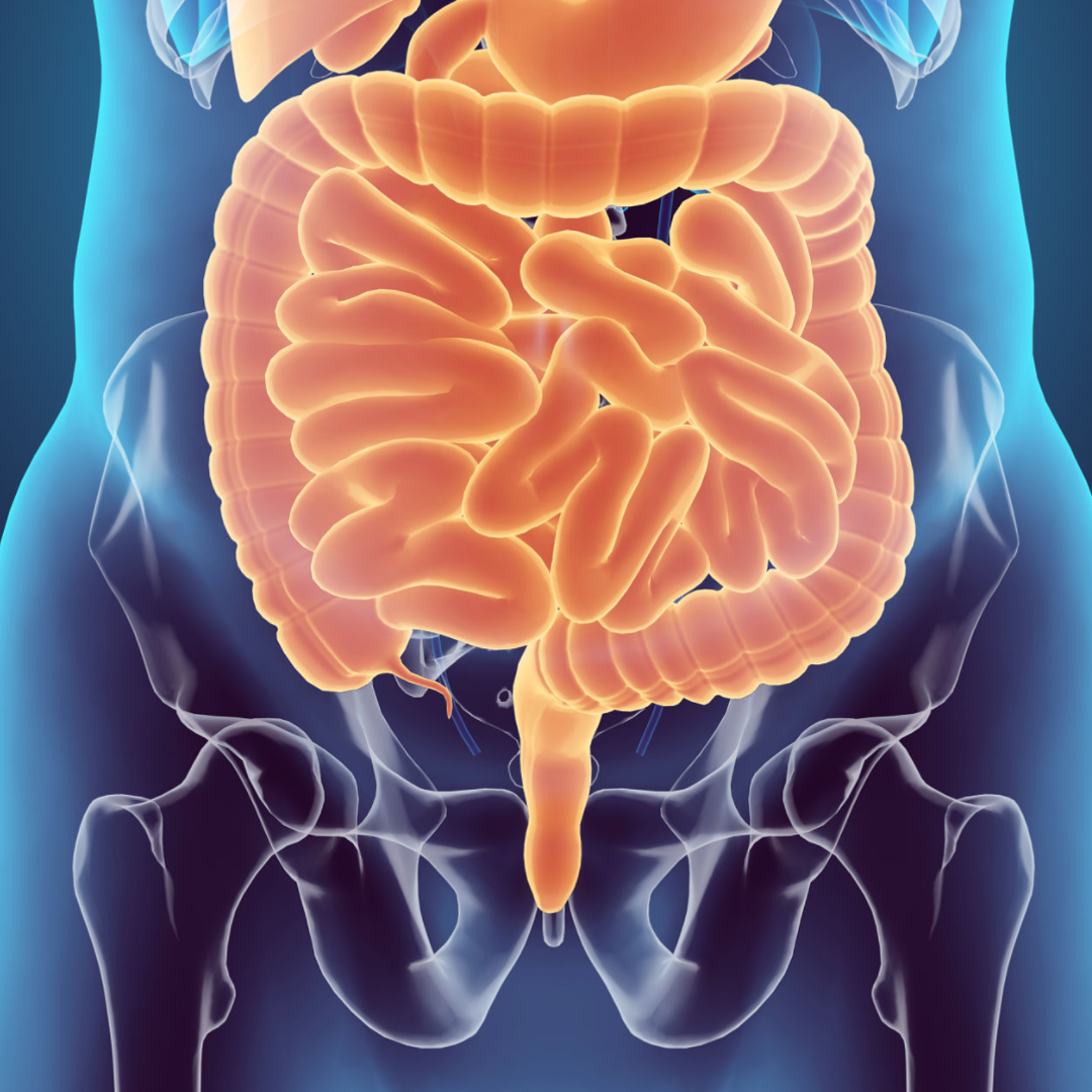 Preparación previa a endoscopia colo-rectal: colonoscopia o ...