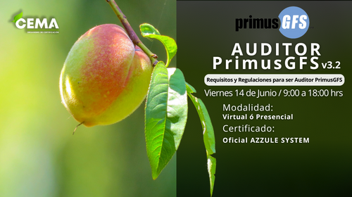 CURSO OFICIAL AUDITOR PRIMUSGFS V3.2 | CEMA INTERNATIONAL